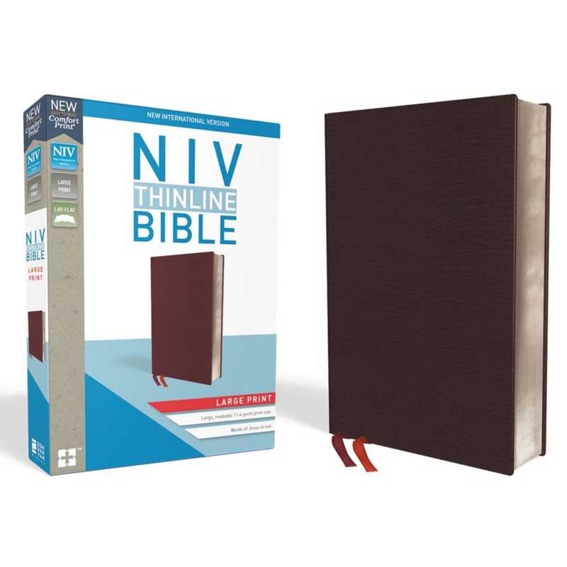 NIV, Thinline Bible, Large Print, Bonded Leather, Burgundy, Thumb ...